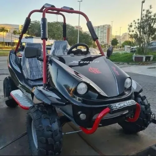 "mini buggy a gasolina" no Brasil