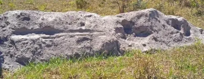 "calcarios" no Brasil