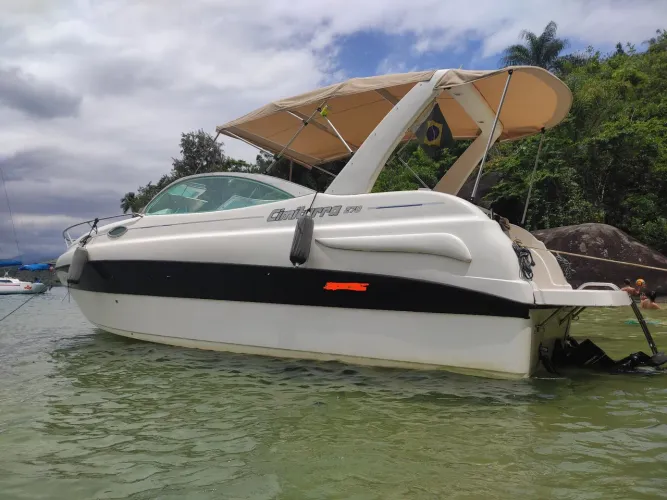 "cimitarra" no Brasil