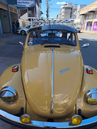 Volkswagen Fusca 1979 Usados e Novos