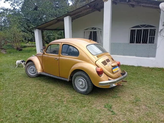 Volkswagen Fusca 1973 Usados e Novos